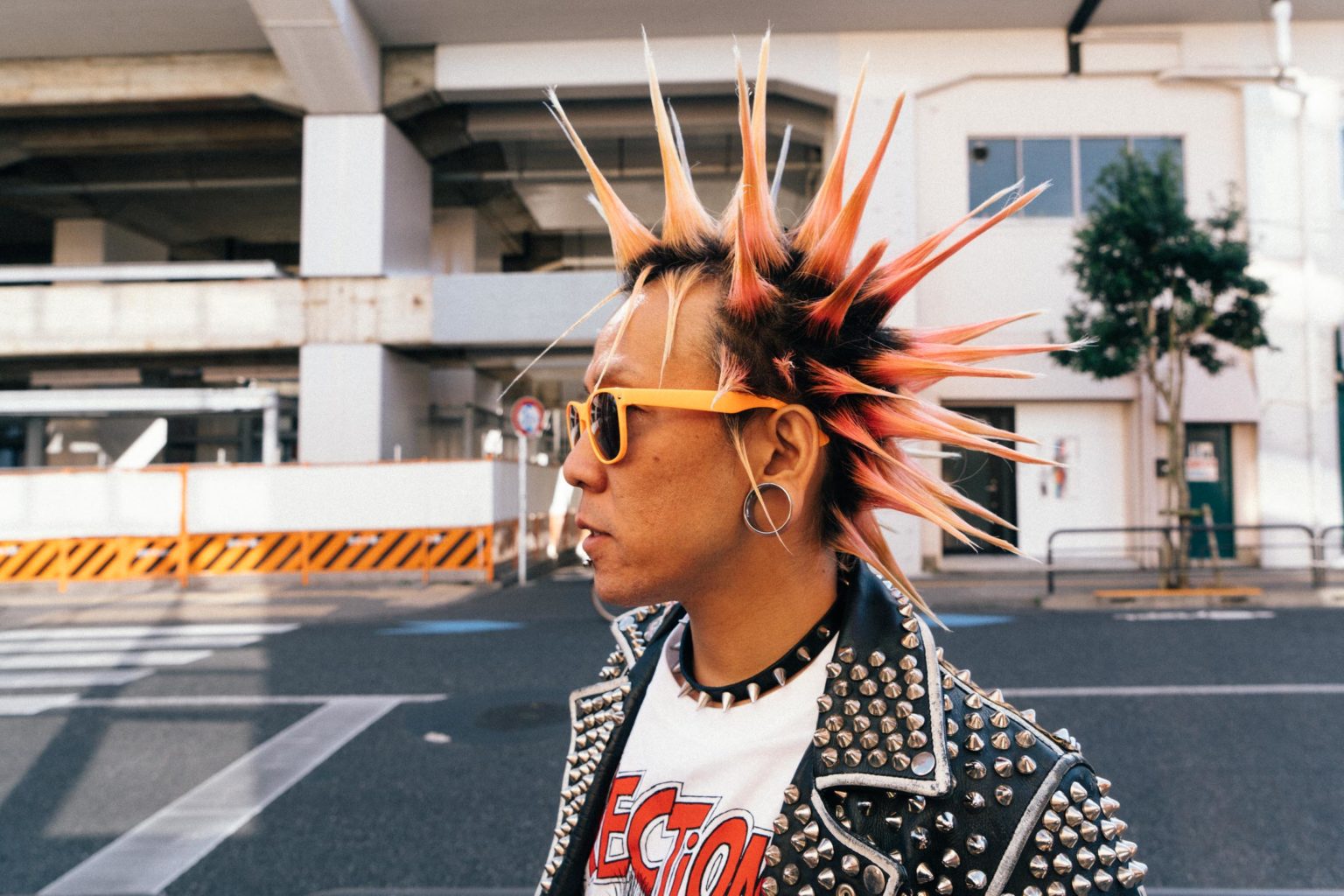 The Erections - INFRINGE