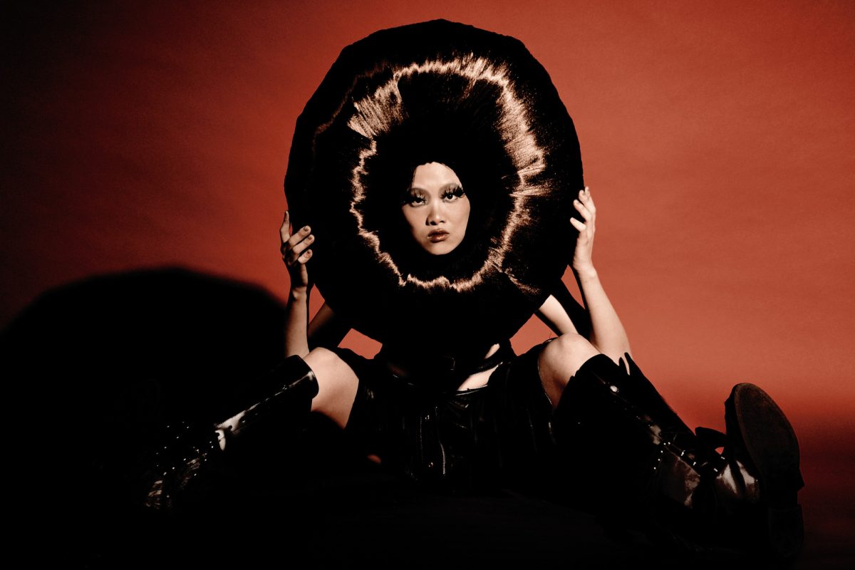 Starlings - INFRINGE