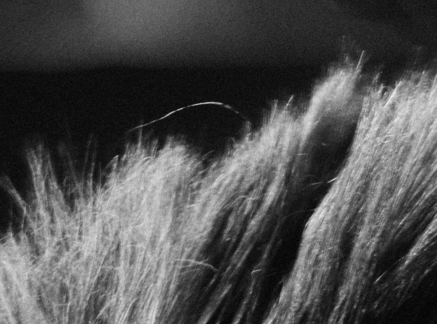 Christopher Gatt: Reworked - INFRINGE